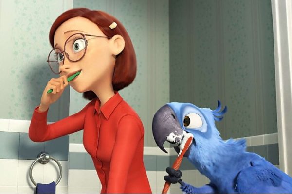 Blue Macaw Parrots Priceless Birds Rio Parrot - Parrots for Sale